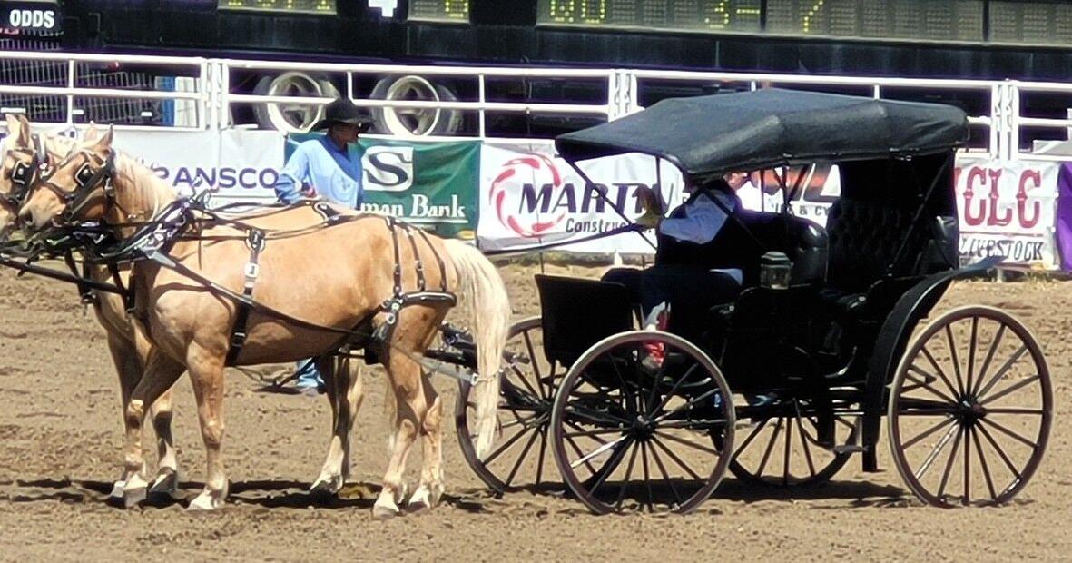 Roger Sprague honored at Miles City bucking Horse Sale | News ...