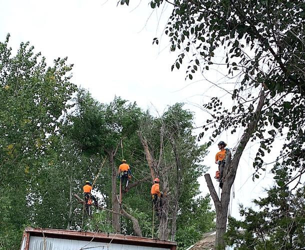 Entrepreneurs on the Homefront: Heser Tree Service serves people and ...