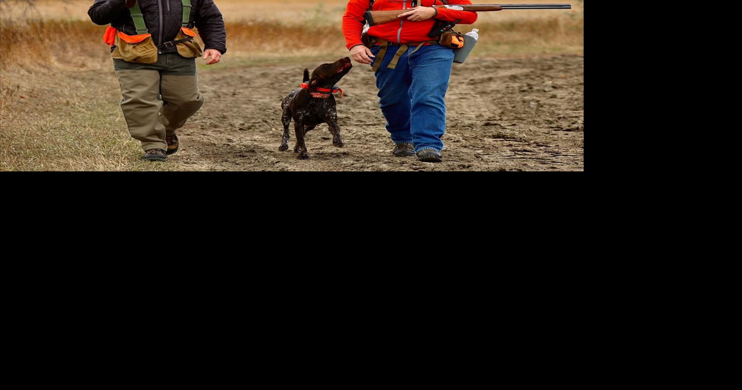 Tying it all together: Over 140 acres added to Isaac Homestead Wildlife ...