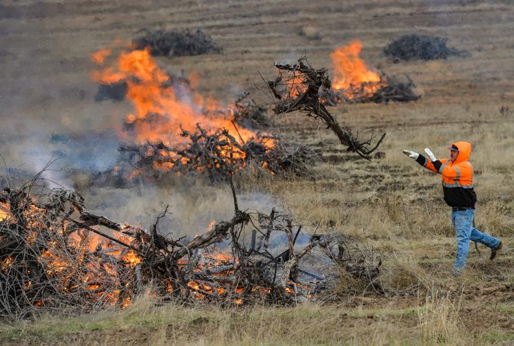 Fires Set to Control Vineyards | Wine And Wineries | independentnews.com
