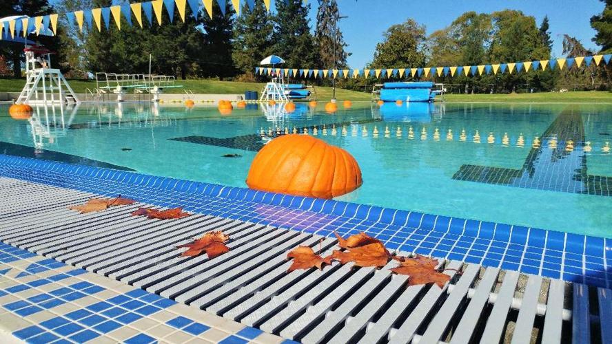 Floating Pumpkin Patches Pop Up in the Valley | Community News ...