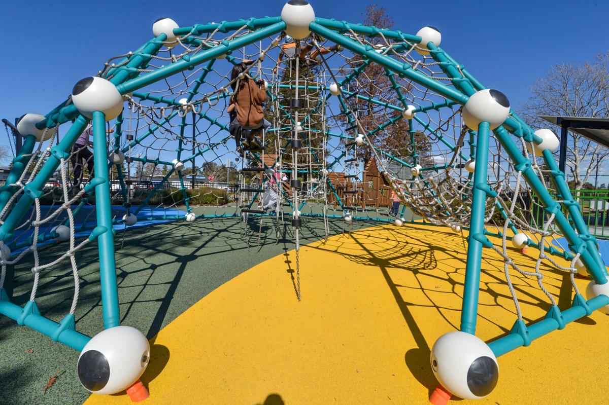 Dublin Opens All-Abilities Playground | News | independentnews.com