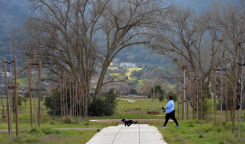 Visitors Enjoying the Weather at Bernal Community Park ...