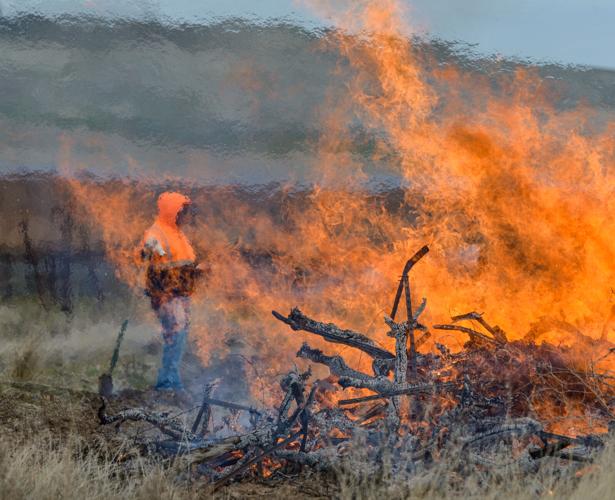 Fires Set to Control Vineyards | Wine And Wineries | independentnews.com