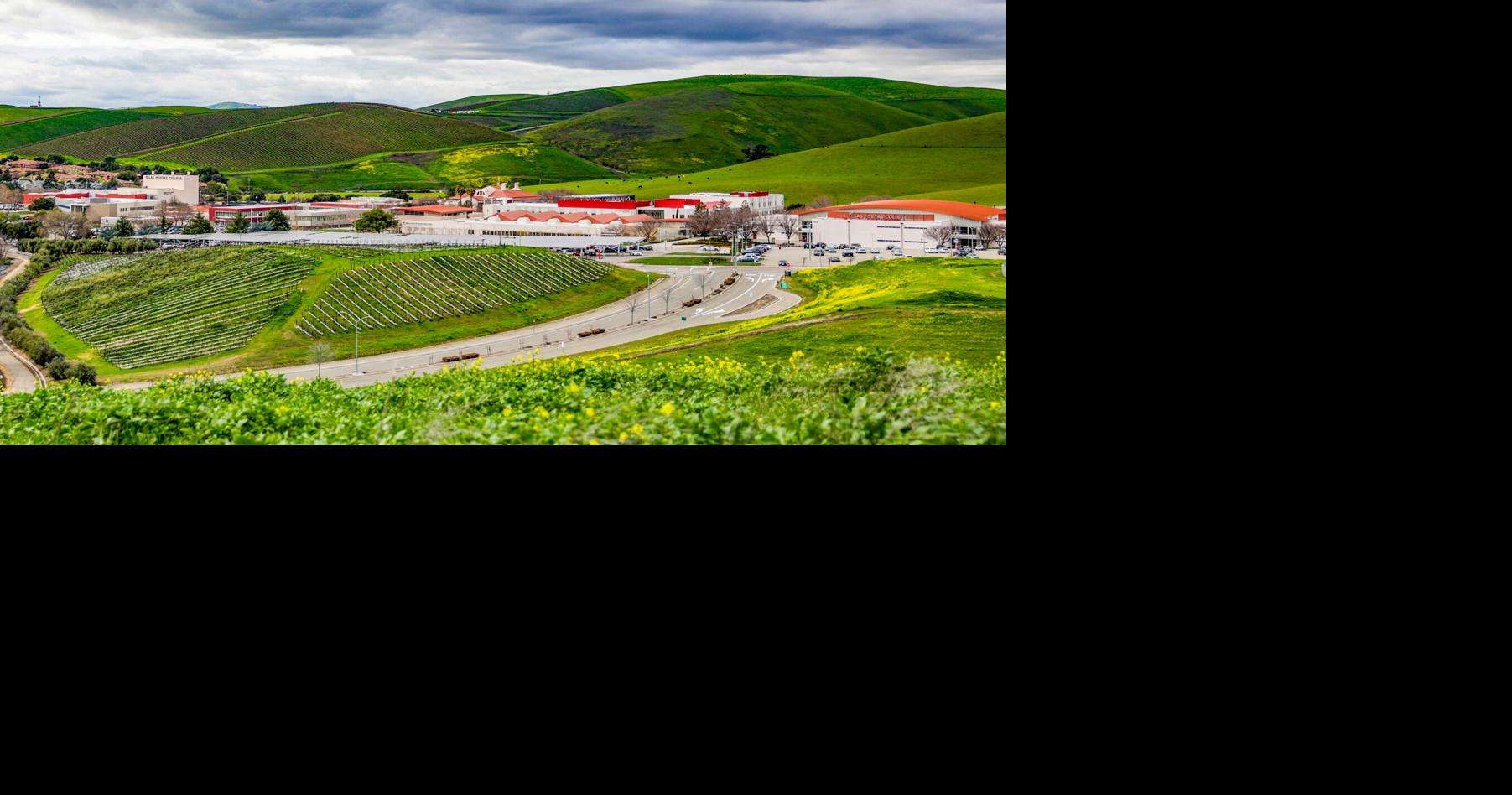 Spring Sneaks Up on Cayetano Park | Community News | independentnews.com