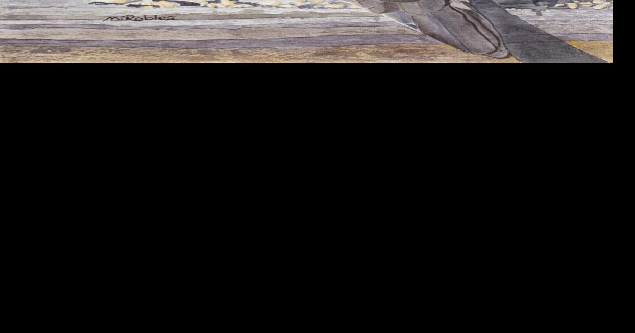 New Art Exhibition Focuses on 'Birds' | Culture | independentnews.com