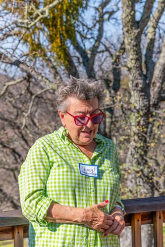 Jewish Celebration of Trees Set in Olive Groves | Livermore News ...