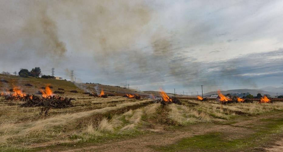 Fires Set to Control Vineyards | Wine And Wineries | independentnews.com