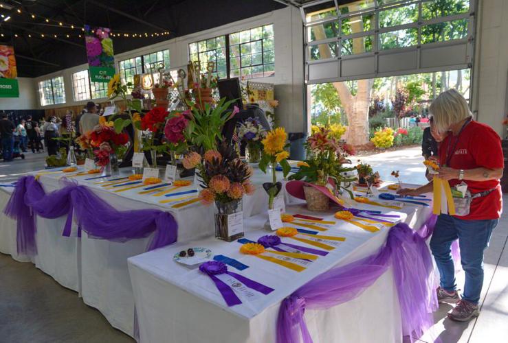 Alameda County Fair Hosts Lineup of Summertime Fun | Culture ...