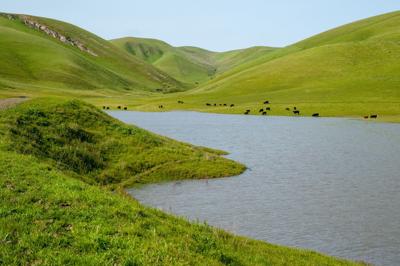 160 Acres Added to EBRPD’s Doolan Canyon Regional Preserve | News ...