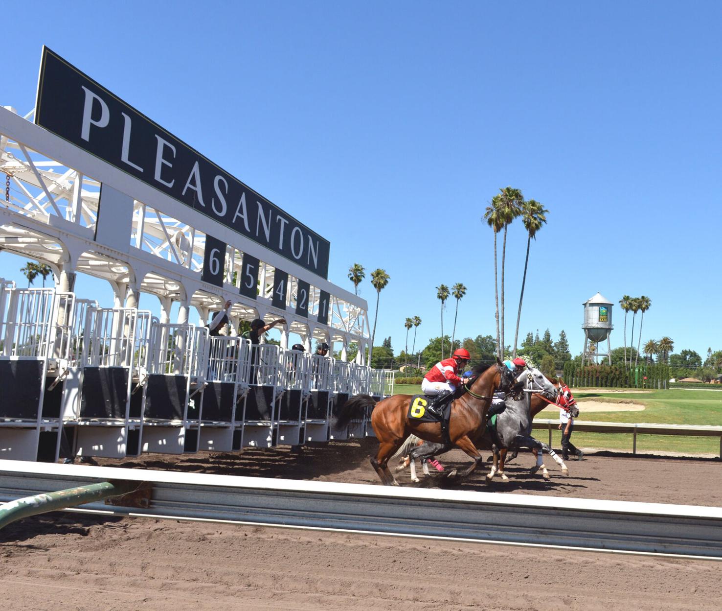 Horse Racing Canceled at Pleasanton and Other Fairs | Pleasanton News ...
