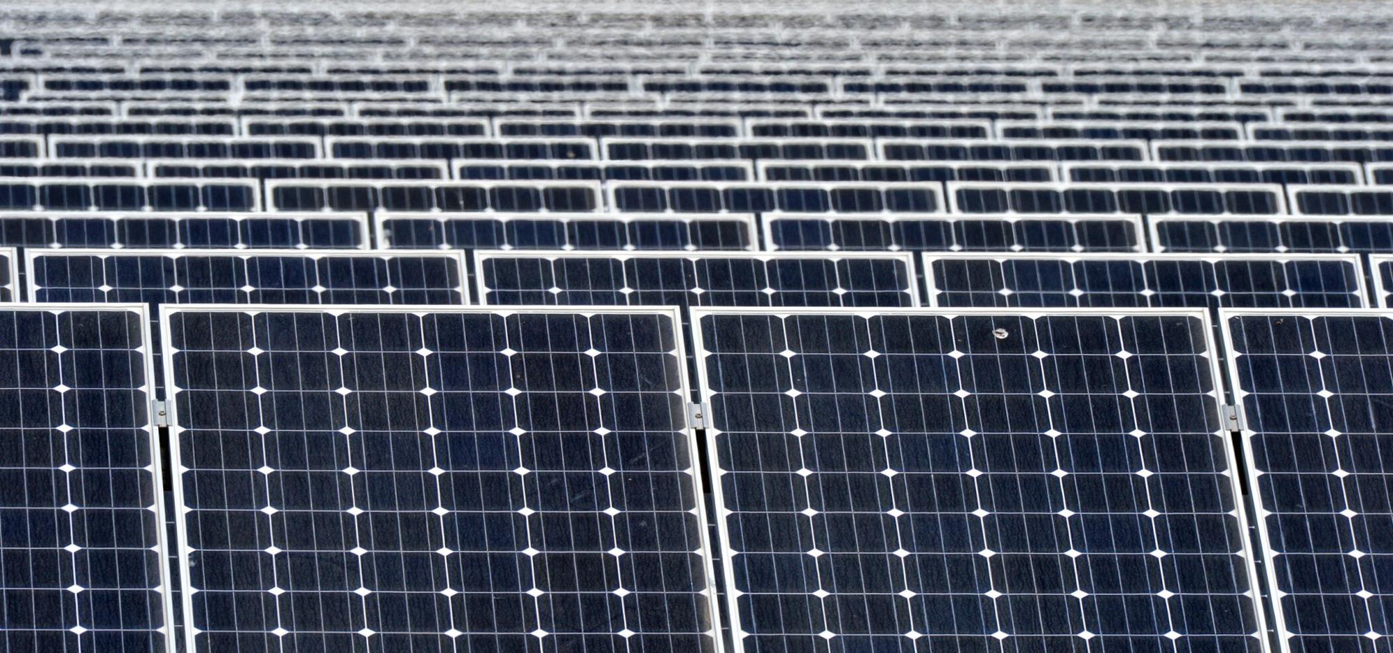 GoFundMe Campaign Launched to Fight Aramis Solar Project | News ...