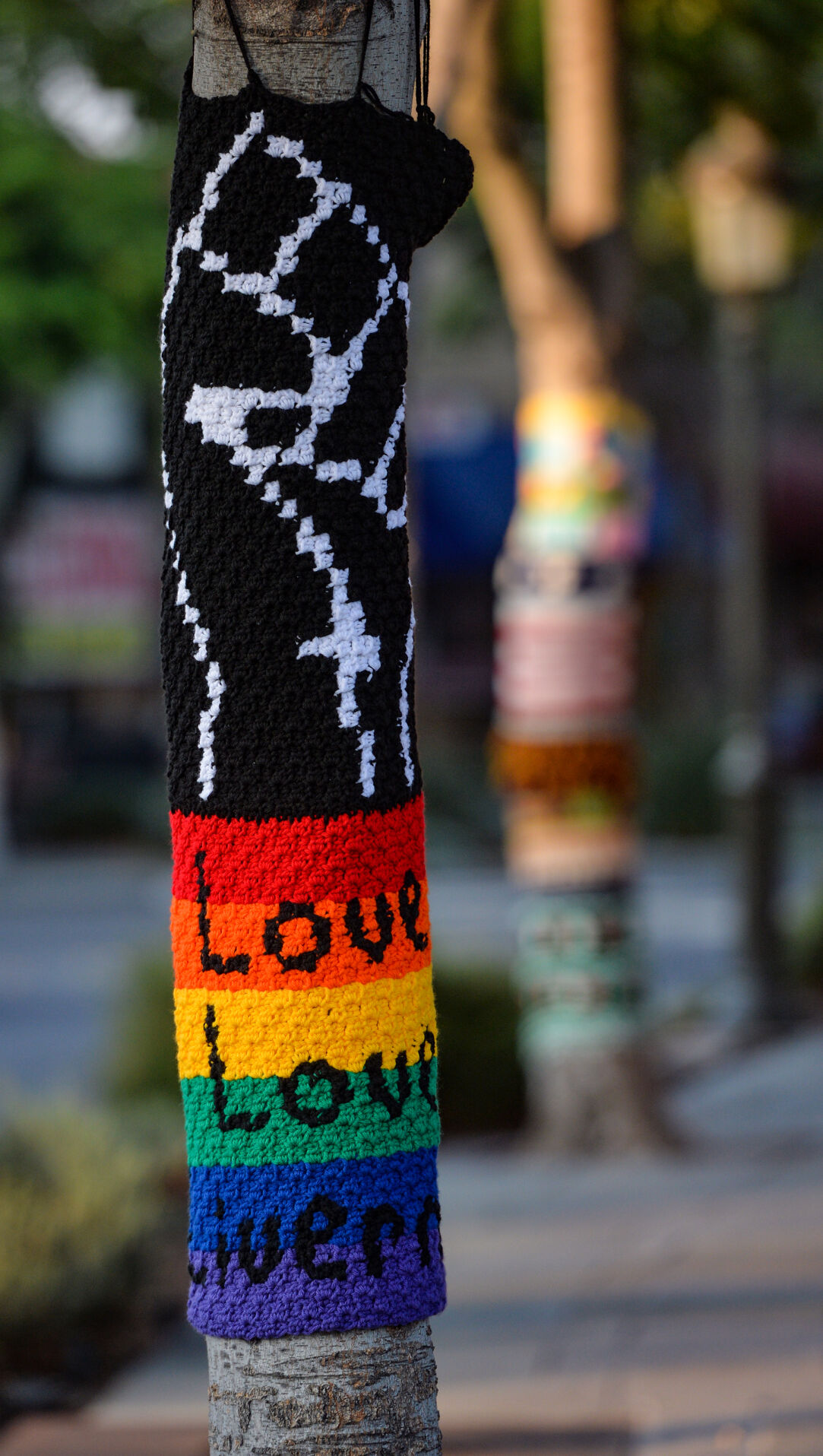 Once Again, The Trees are Dressed with Colorful Sweaters ...