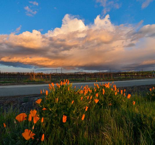 Beautiful Livermore Captured by Our Photographer, Doug Jorgensen ...