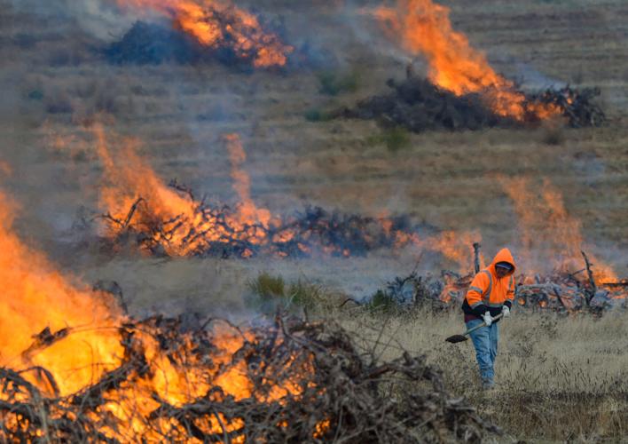 Fires Set to Control Vineyards | Wine And Wineries | independentnews.com