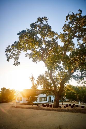Pleasanton Library and Recreation Department to Celebrate Alviso Adobe ...