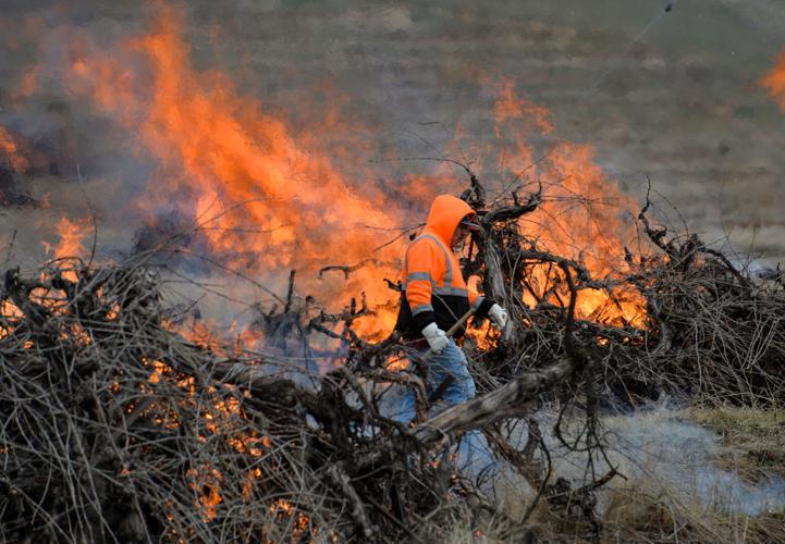 Fires Set to Control Vineyards | Wine And Wineries | independentnews.com
