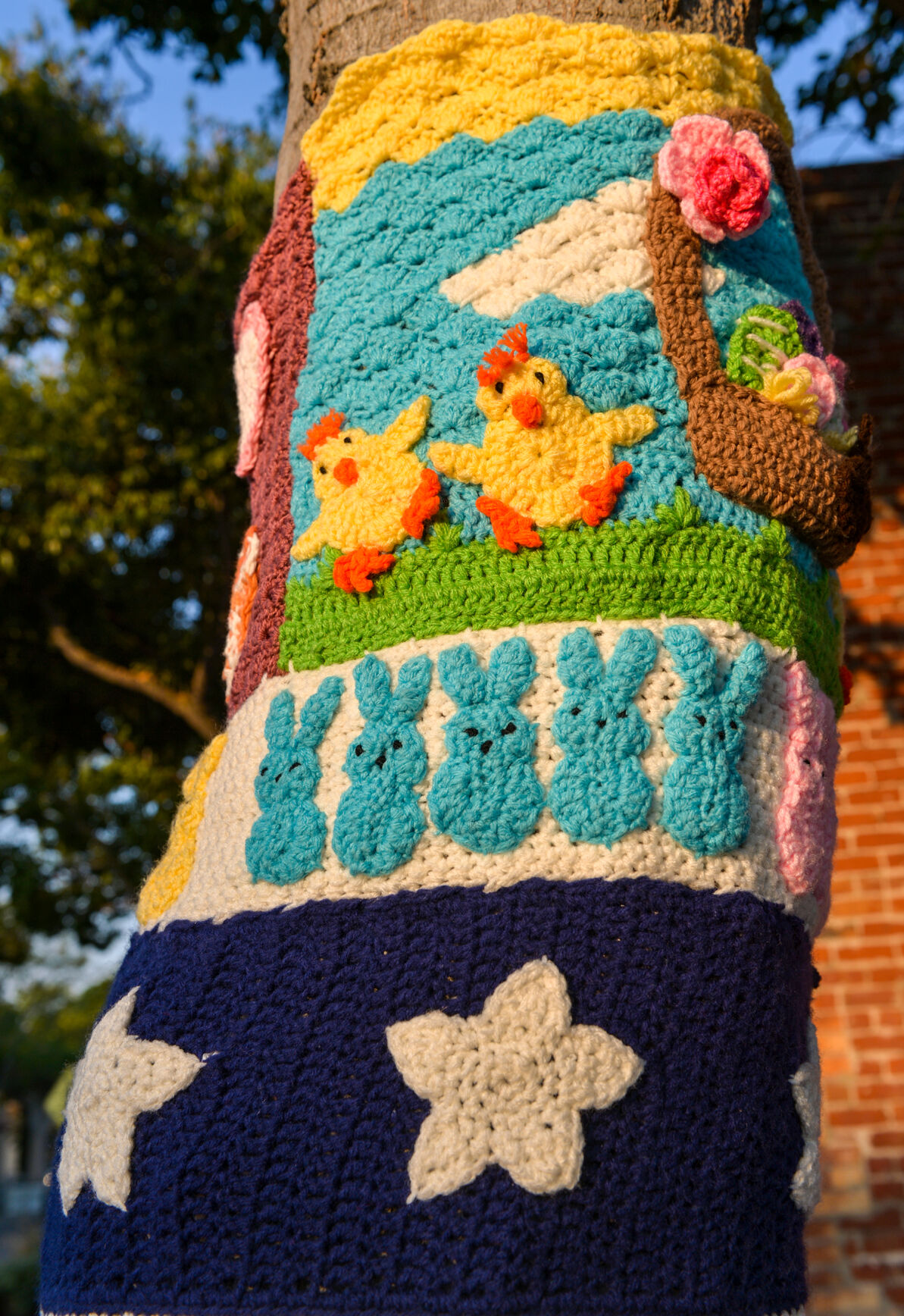 Once Again, The Trees are Dressed with Colorful Sweaters ...