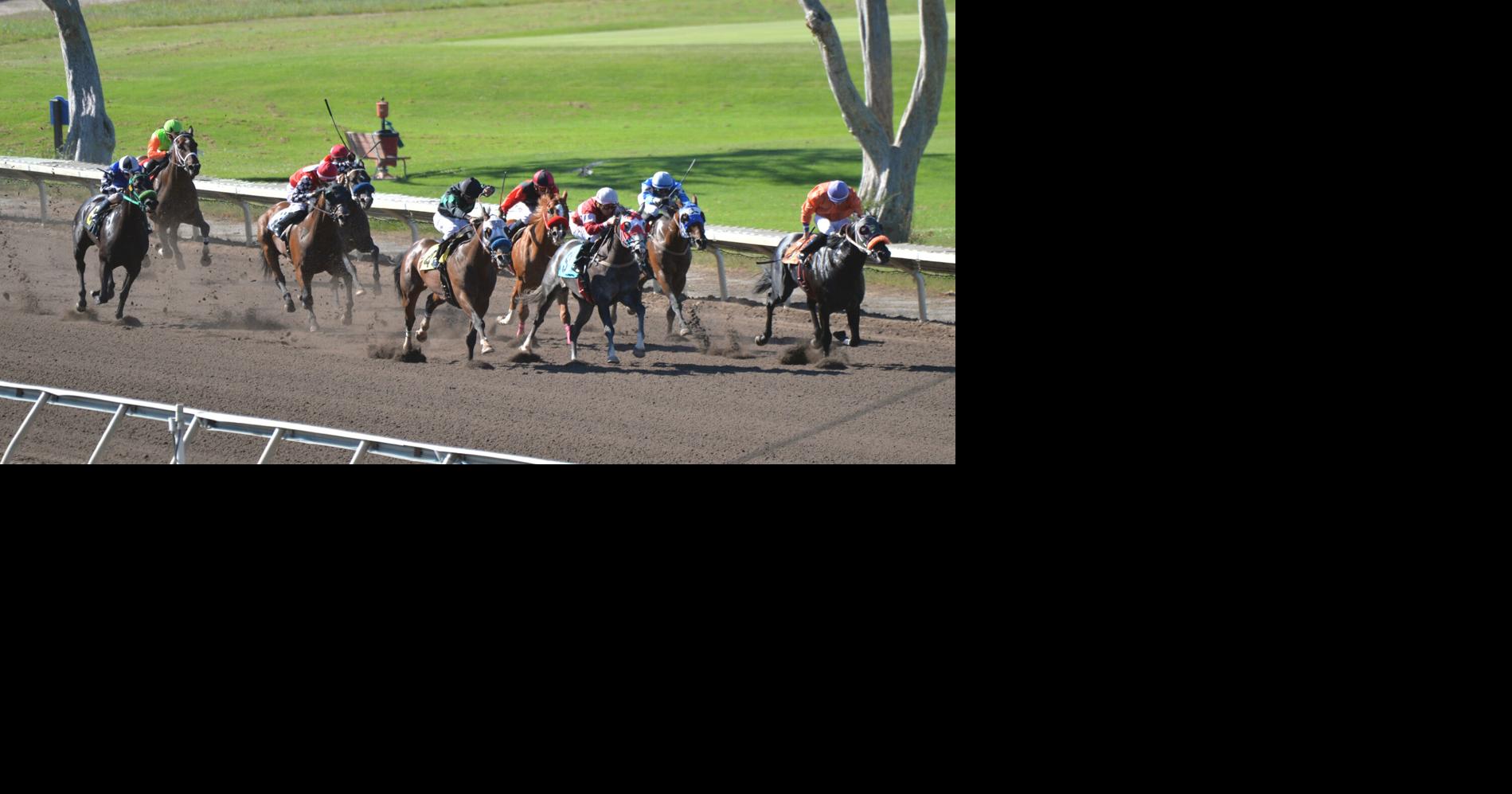 Alameda County Fairgrounds Horse Track Rises in Prominence | Pleasanton ...