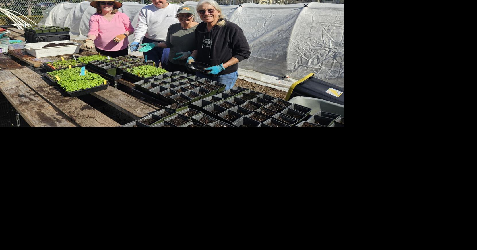 UC Master Gardener Program to Hold Edible Plant Sale in April ...