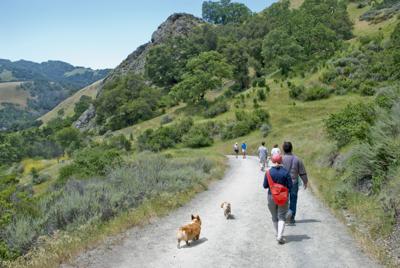 EBRPD Launches Annual Trails Challenge | Community News ...