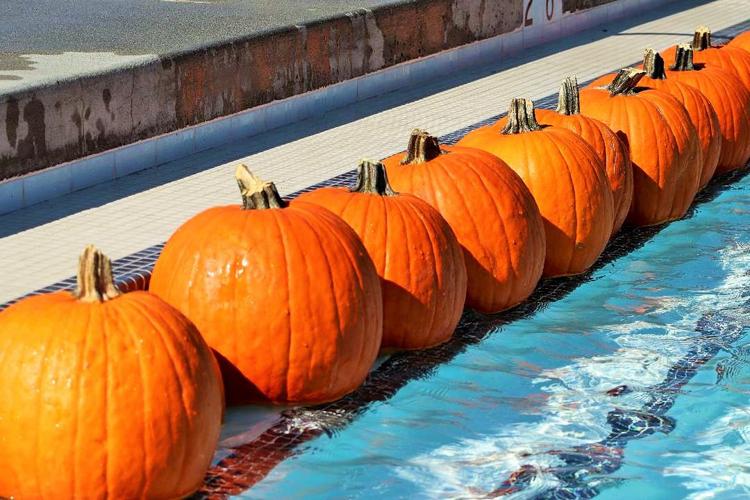 Floating Pumpkin Patches Pop Up in the Valley | Community News ...