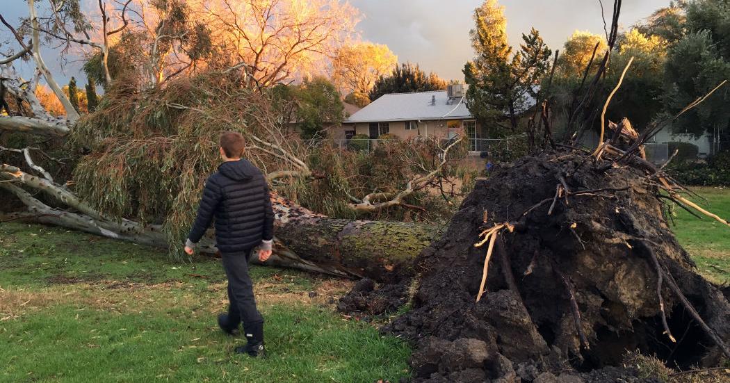 Springtown Storm Damage | | independentnews.com