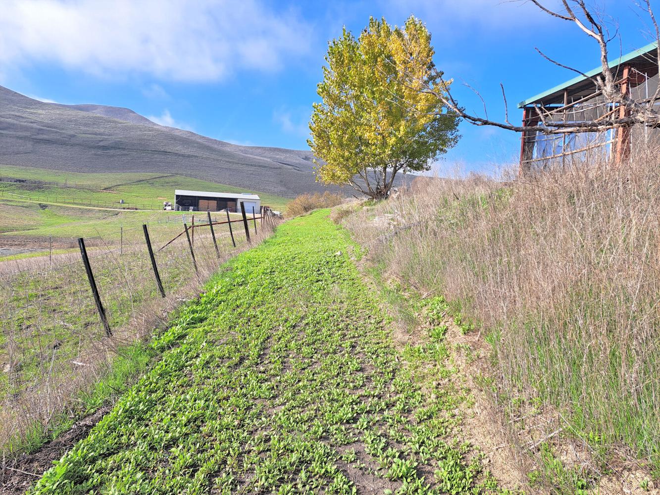 Park District Moves to Open Doolan Canyon to Public | Regional/CA News ...
