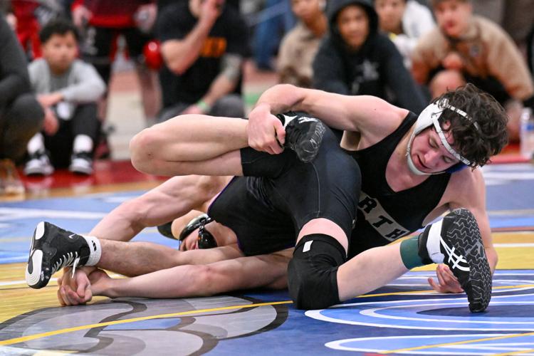 Wrestling: Giannetto, Morosetti win state titles as area athletes shine ...