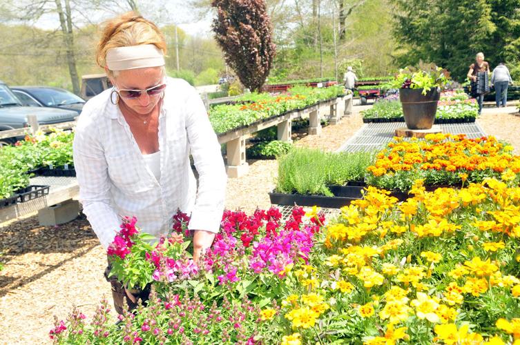 Planting a seed | Ind | independentri.com