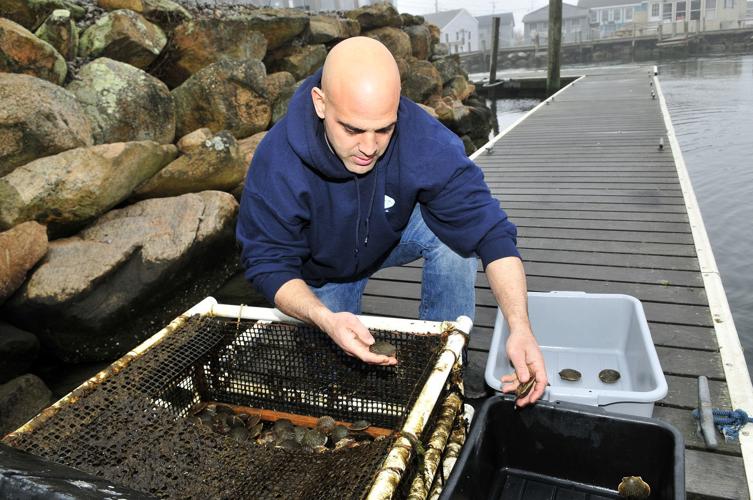 You Are What You Eat | Food & Drink | independentri.com