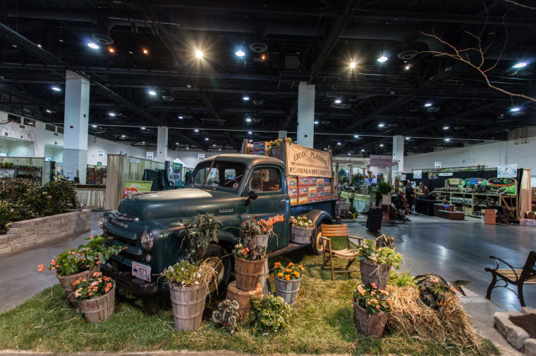 Wild, meat-eating plants and cars take root at RI flower show | Arts ...