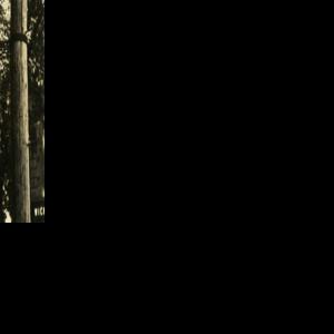 Fundraising underway to recreate Updike's Newtown sign | North East ...