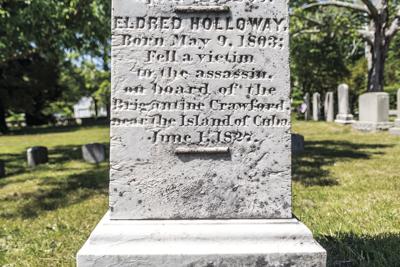 The View From Swamptown: Alexander Tardy's brutality remains a part of ...