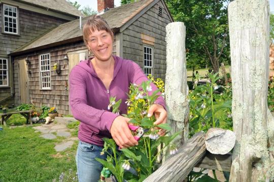 Medicinal plant classes teach benefits of backyard pharmacies | Arts ...
