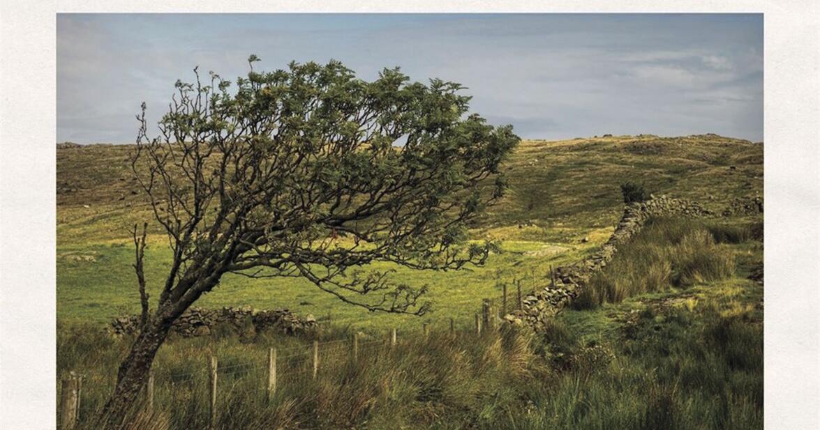 The Independent Reader: Rain signals change and renewal in ‘This Is ...