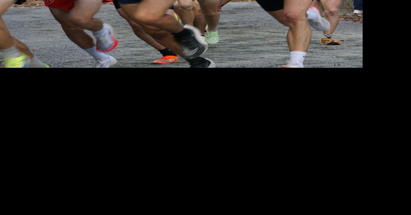 Cross Country: Borge, Francis, O'Neill shine at states | Sports ...