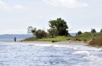 Discover the secret beaches of Quonset | Features | independentri.com