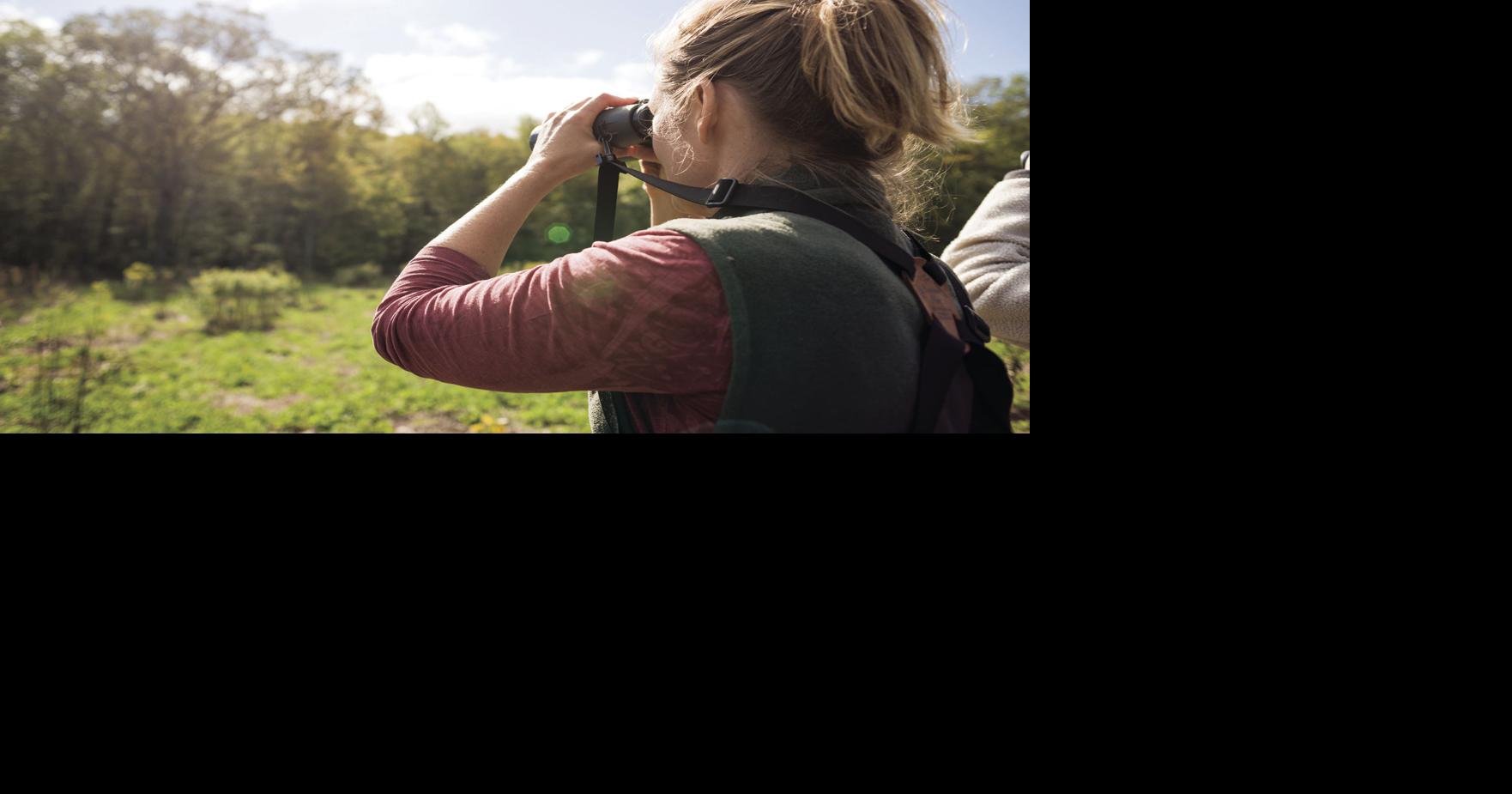 Birds I View: There's never been a better time to bird watch in ...