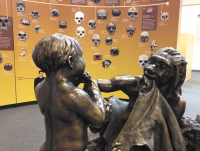 SCIENCE | Exploring Human Origins | Archive | inlander.com