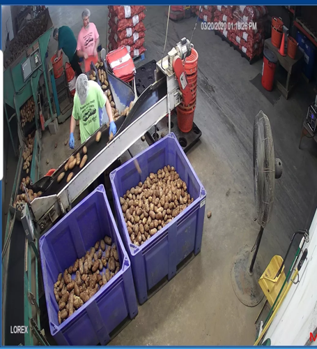 The COVID-19 shutdown killed 70 percent of Casey Duncan's potato ...
