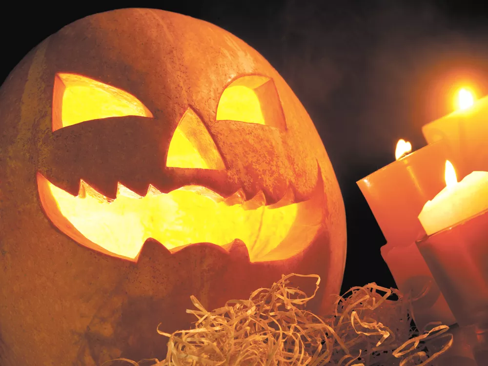 Hollowed Out | Archive | inlander.com