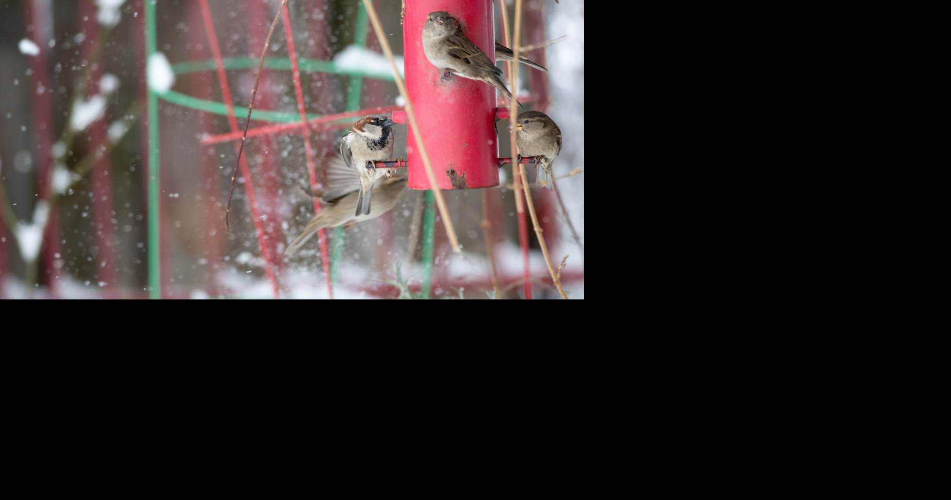 Enquirer tried to blackmail Bezos, new Health & Home is on stands, and other headlines | News ...