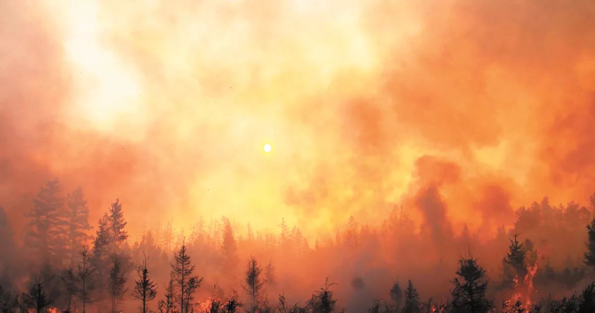 The Pacific Northwest has a long history of devastating wildfires, but ...