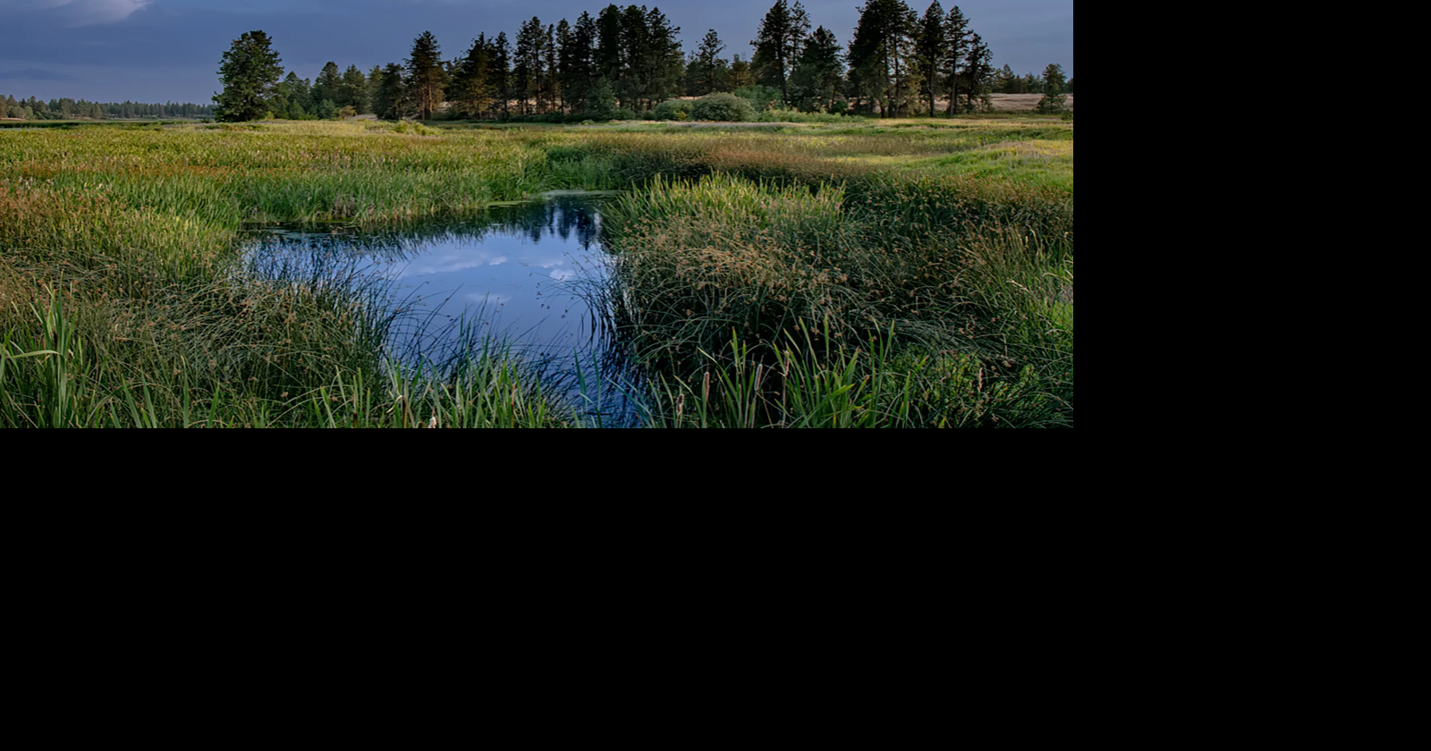 A quick drive from downtown Spokane, Turnbull National Wildlife Refuge ...