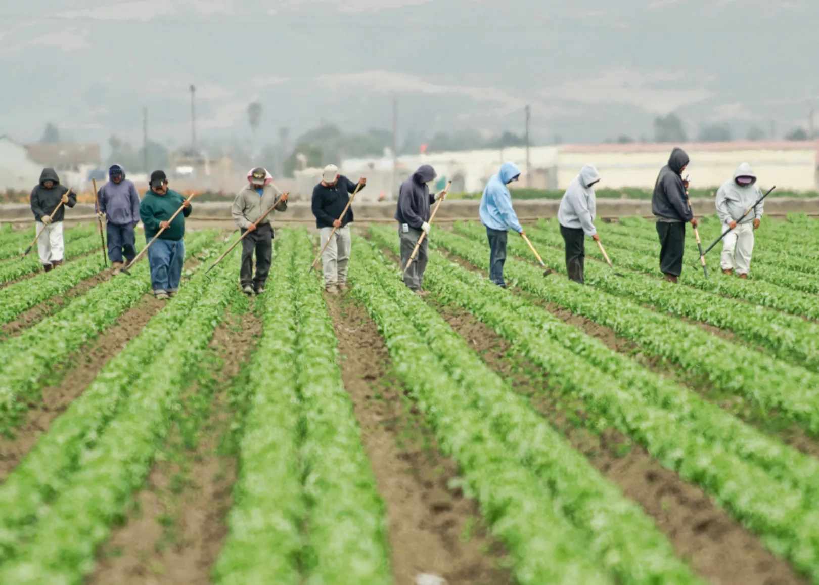 New Washington laws strengthen protections for immigrant communities ...