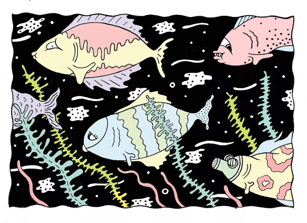 This is How it Should Work | Comment | inlander.com