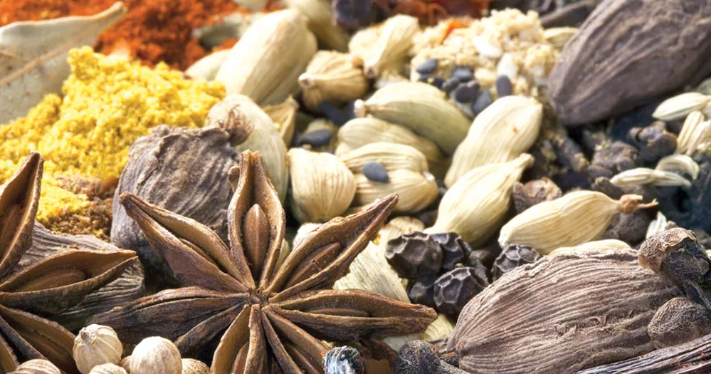 The Spice Man Can | Food & Drink | inlander.com