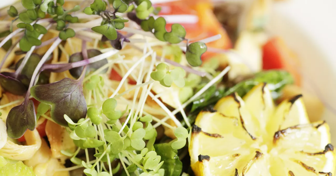 NEWTech Prep instructor Cynthia Monroe wants you to eat and dream local ...