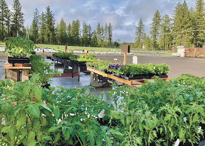 A farm store stocked with local goods sprouts on the Palouse | Food ...